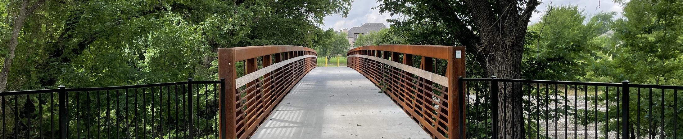 Staff Directory • Library